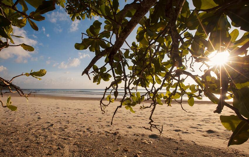 Experience the Magic of Summer in Andaman Islands - Sea Shell Resorts