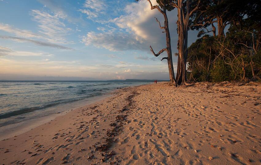 Escape to Paradise - Best Beach Resort In Neil Island - Sea Shell Resorts