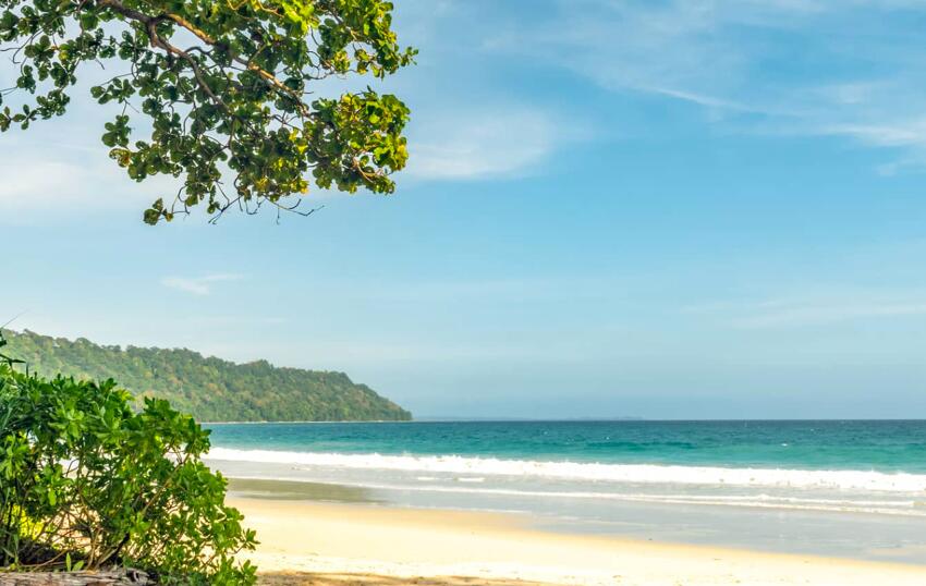SeaShell at Havelock Islands..!